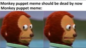 Meme-Monkey: ¡Pedro!